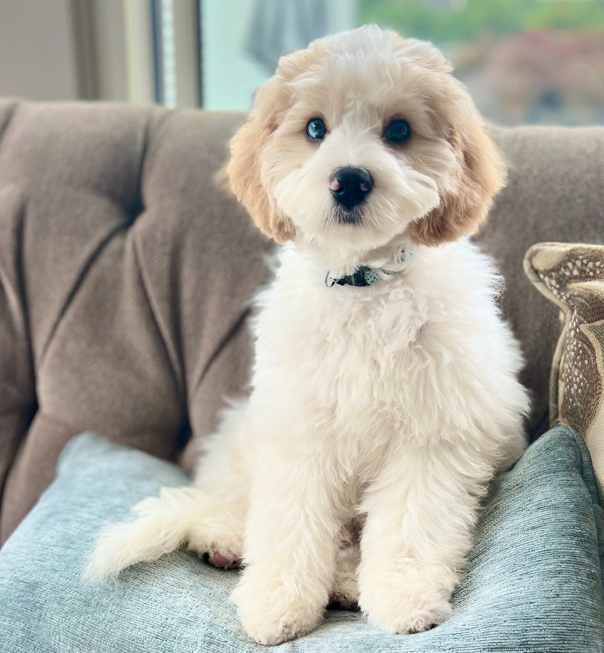 Bondel.co – Bondel Co.