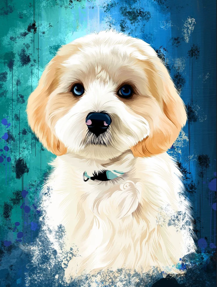 Bondel.co – Bondel Co.