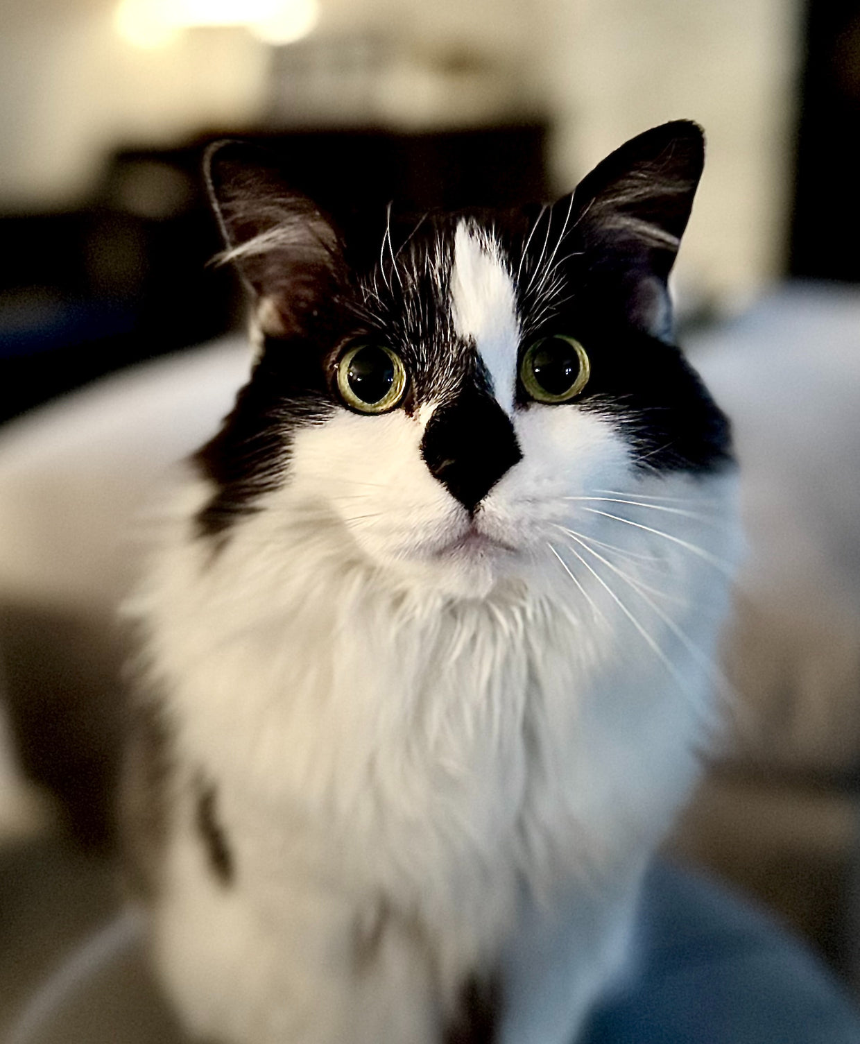 Bondel.co – Bondel Co.